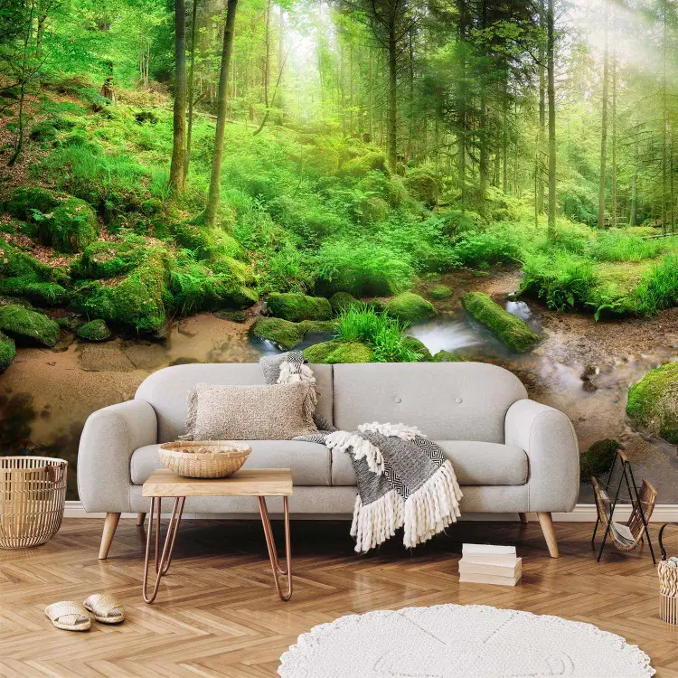 Fotomural Humid Forest para pared - Bosque - tienda bimago
