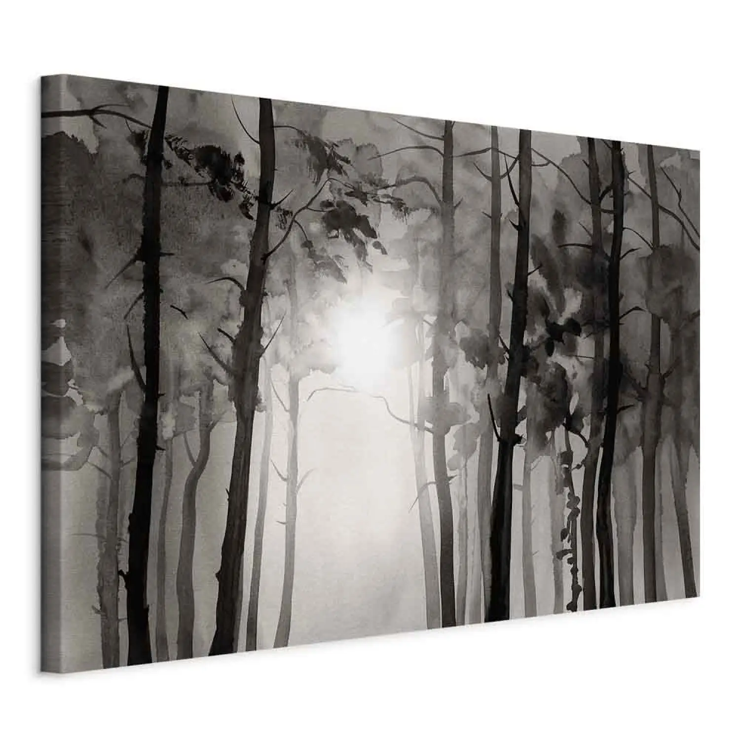 Fotografía En Blanco Y Negro Bosque El Hombre De Color Camina Por El